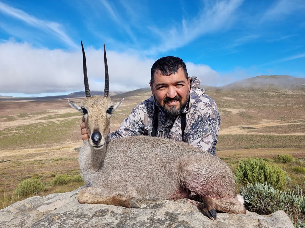 Hunting Vaal Rhebuck - Grey in South Africa - Game 4 Africa Hunting Safaris