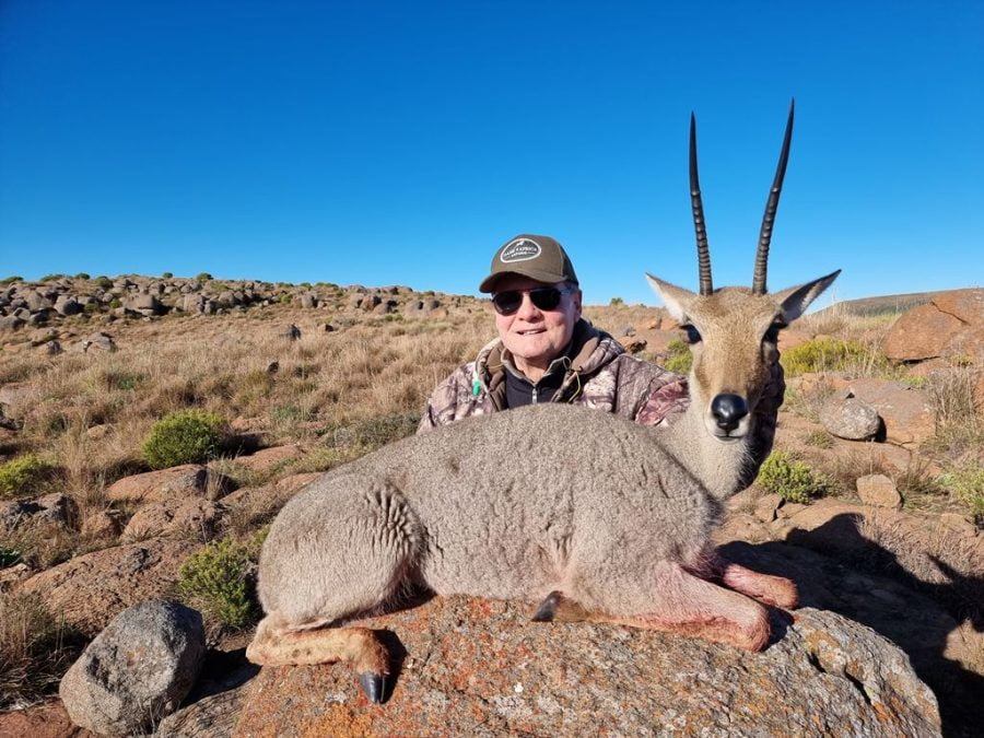 Hunting Vaal Rhebuck - Grey in South Africa - Game 4 Africa Hunting Safaris