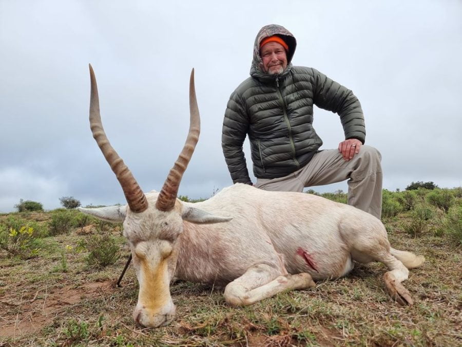 Hunting Blesbuck - White in South Africa - Game 4 Africa Hunting Safaris