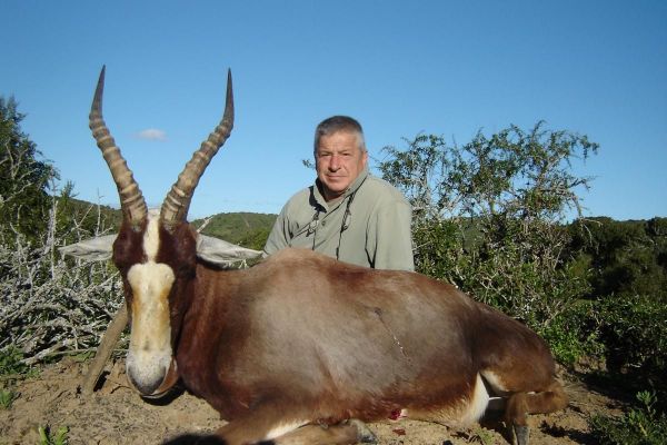 Hunting Blesbuck - Common in South Africa - Game 4 Africa Hunting Safaris